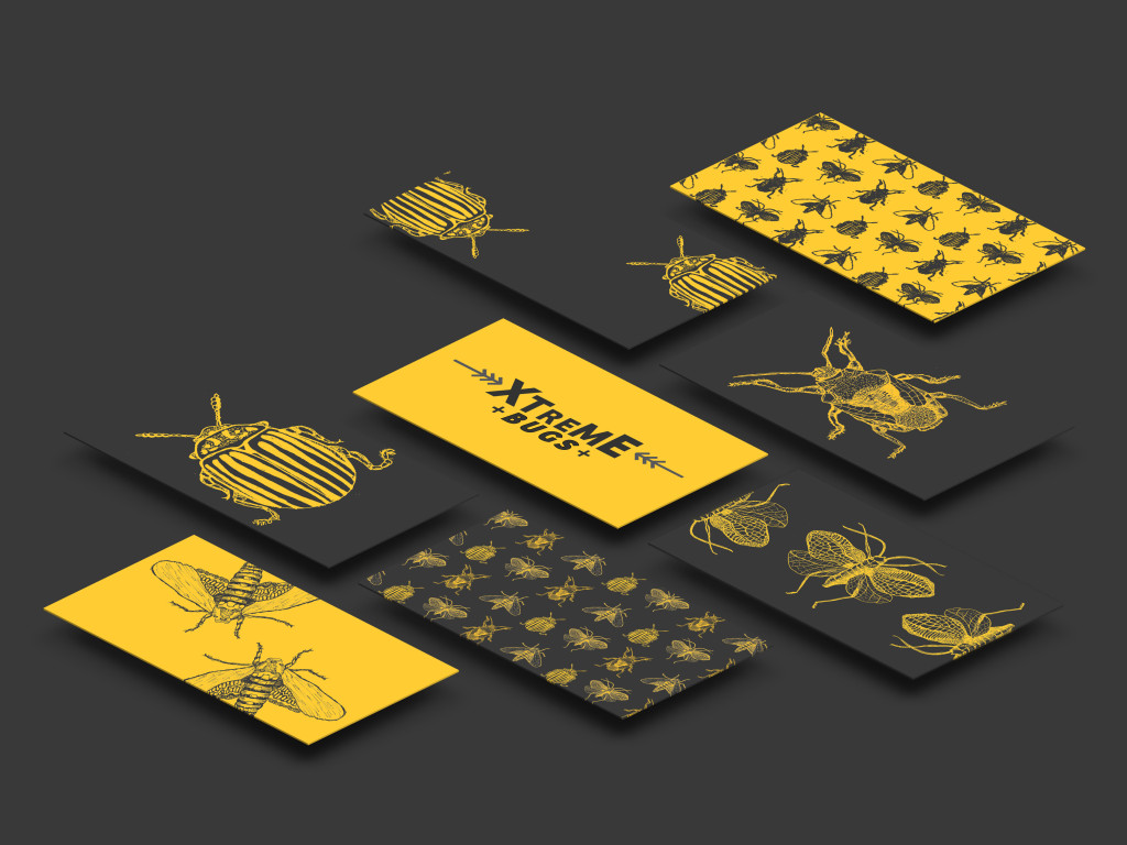 Xtreme Bugs Exhibition by Micael Butial | Looks Like Good Design