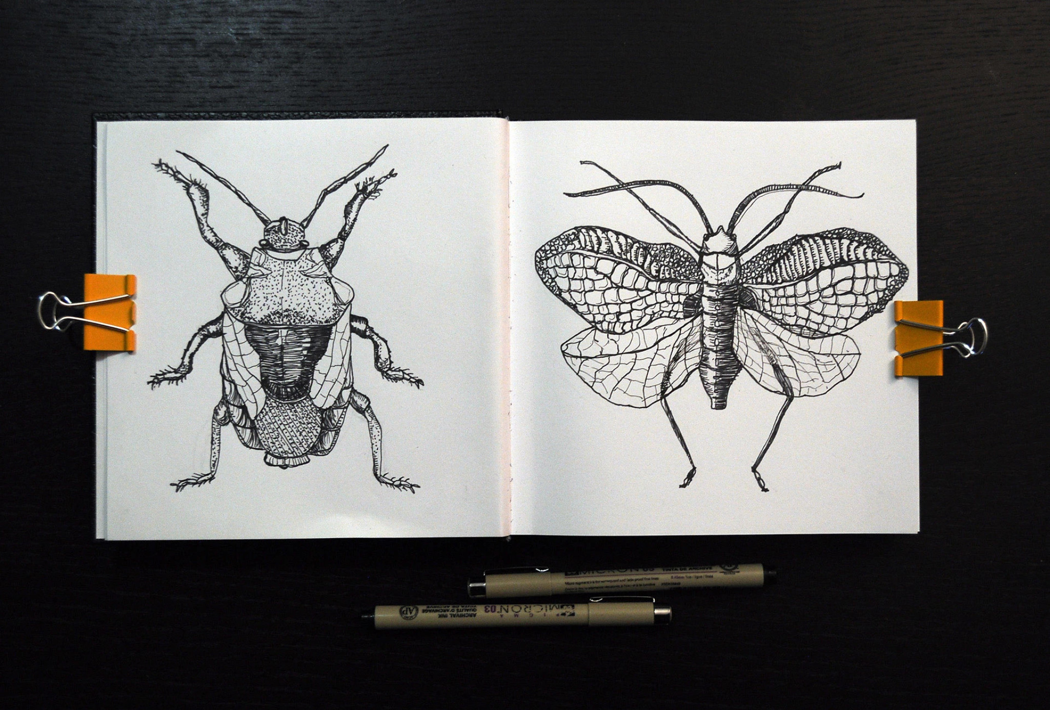 Xtreme Bugs Exhibition by Micael Butial | Looks Like Good Design